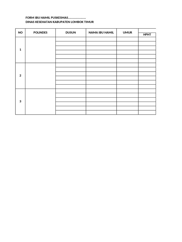 Form Data Bumil Dinkes | PDF