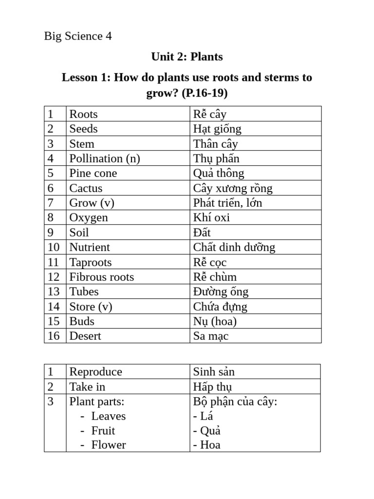 Big Science 4 - U2. Lesson 1 | PDF