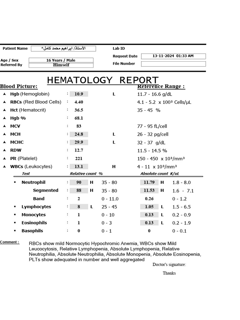 Ibrahim 2 | PDF | White Blood Cell | Cell Biology