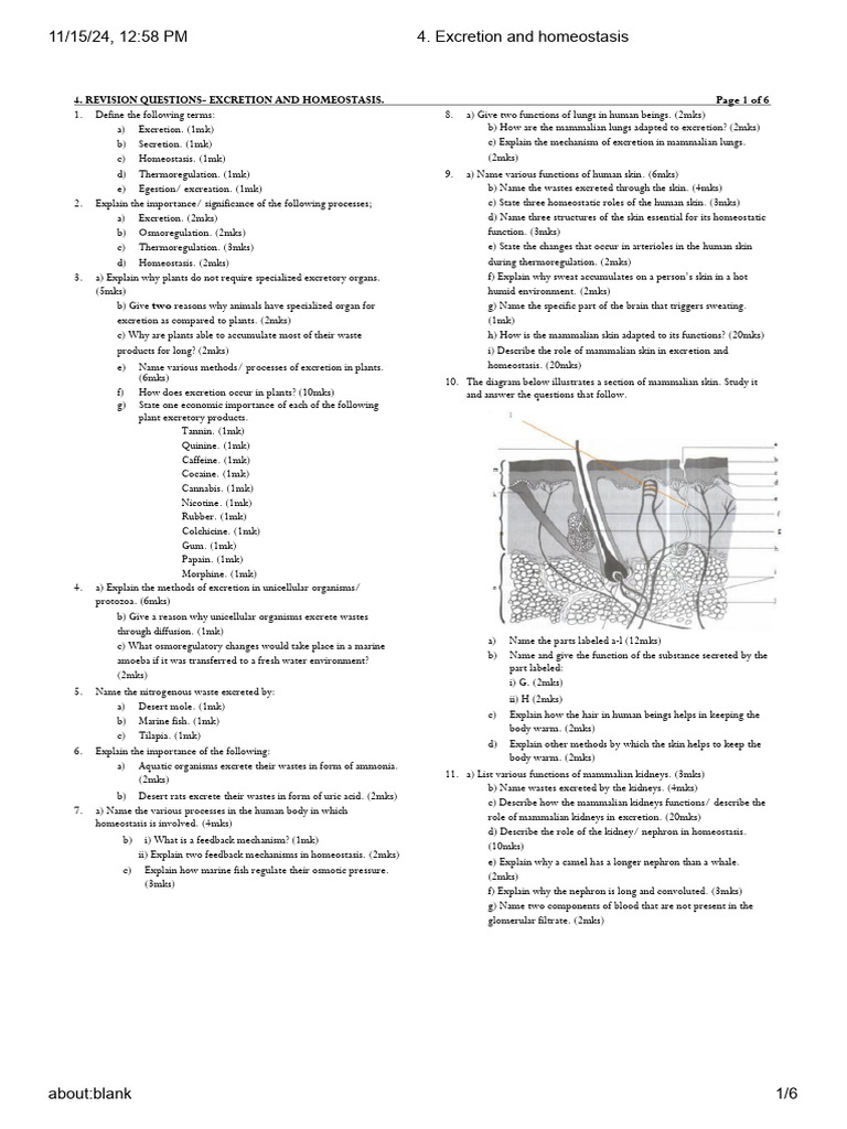 Excretion and Homeostasis | PDF | Kidney | Homeostasis