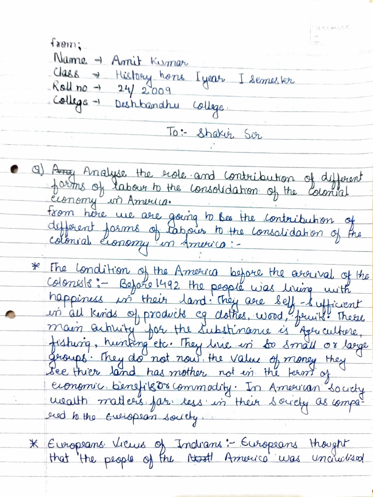 Amit Kumar History of Usa Assignment.. | PDF