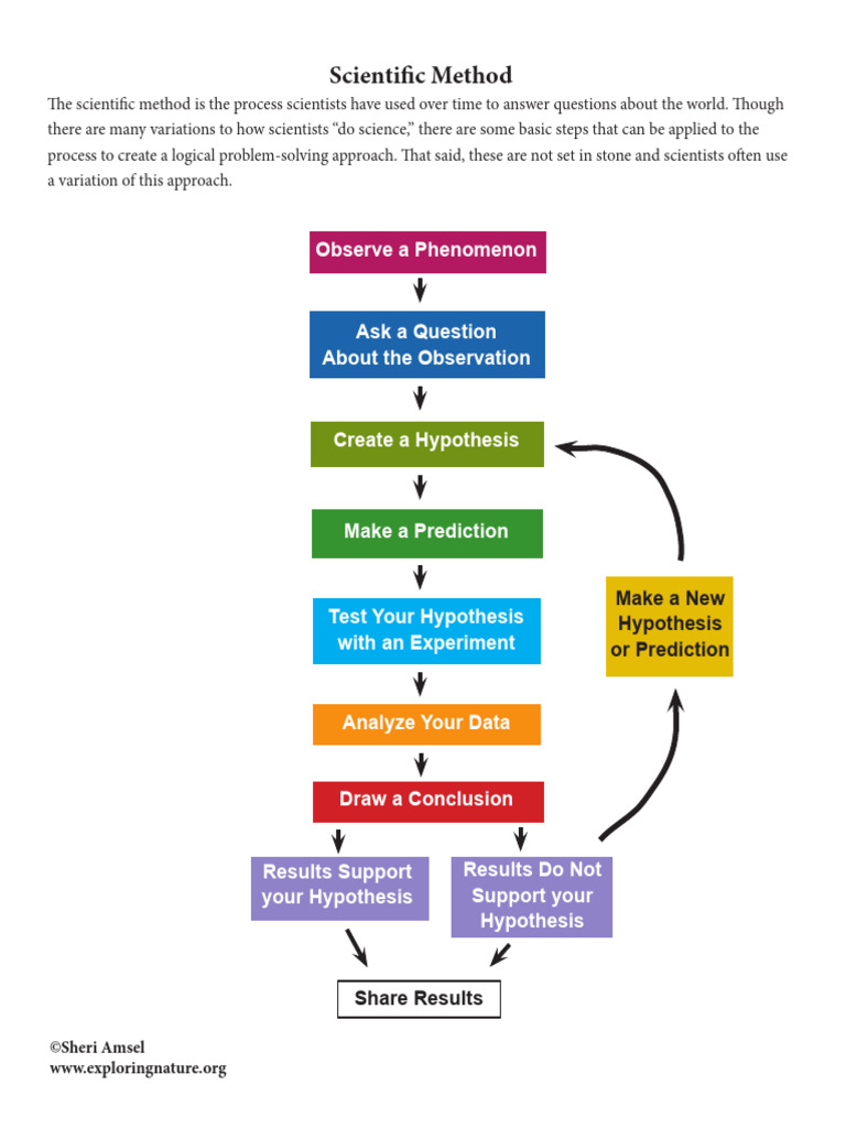 Scientific Method Bundle | PDF | Hypothesis | Scientific Method