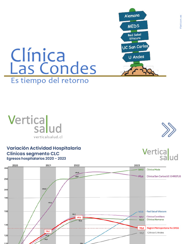 An Lisis Actividad CL Nica Sub Grupo Vertical 1728516337 | PDF