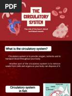 Fish Circulation: Gill and Systemic Flow | PDF | Heart | Artery