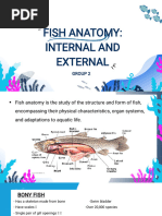 Fish Nares: Smell Mechanism Explained | PDF | Olfaction | Fish