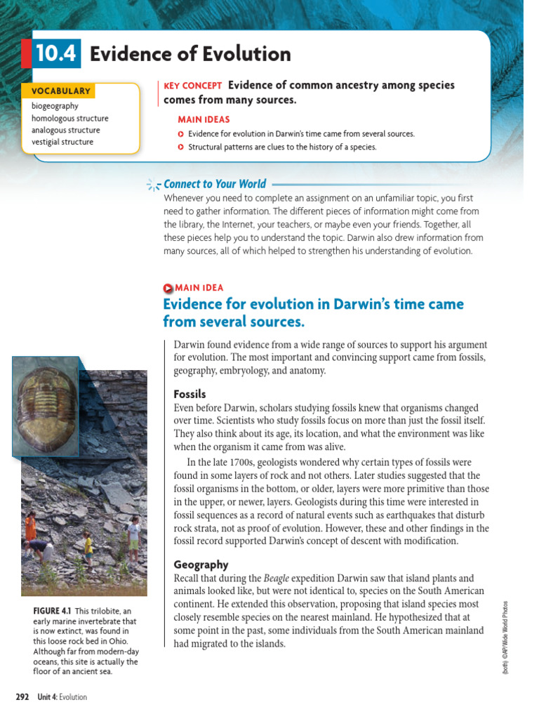 Ebook 10.4 Evidence of Evolution | PDF | Homology (Biology) | Evolution