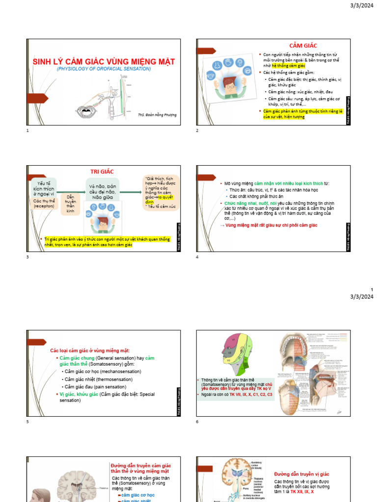 Sinh lý cảm giác vùng miệng-CG Cơ học-CG Nhiệt | PDF
