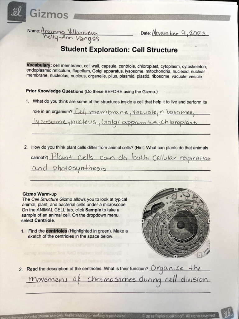 Classwork - Gizmo Lab - Cell Structure. | PDF