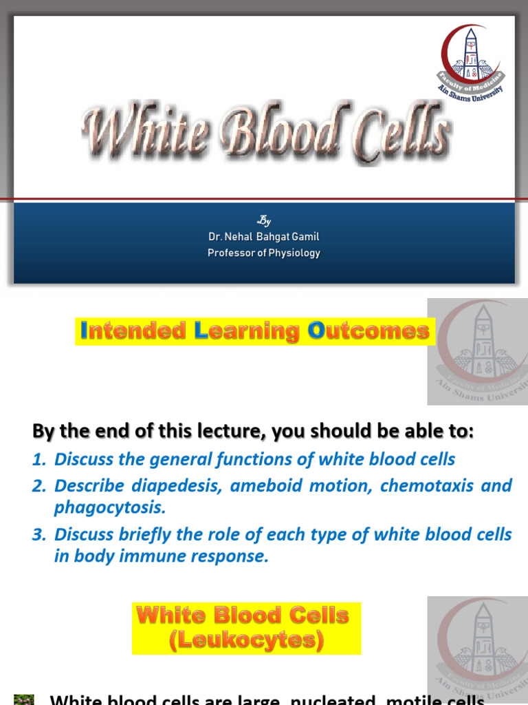WBC Lecture PDF | PDF | White Blood Cell | Immune System