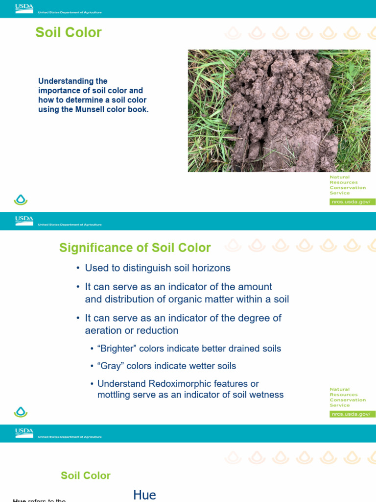 Basic Soil Color Guide | PDF