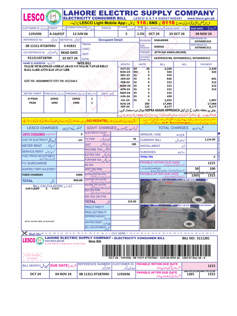 Web Bill Summary for October 2024 | PDF