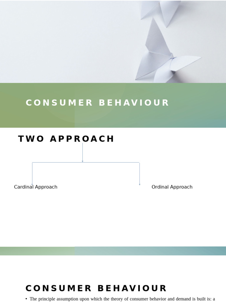 Consumer Behaviour | PDF | Utility | Consumers