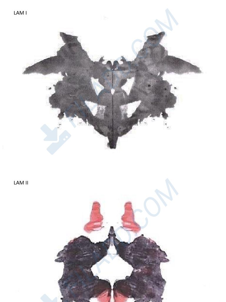 Laminas ROR | PDF | Derecho