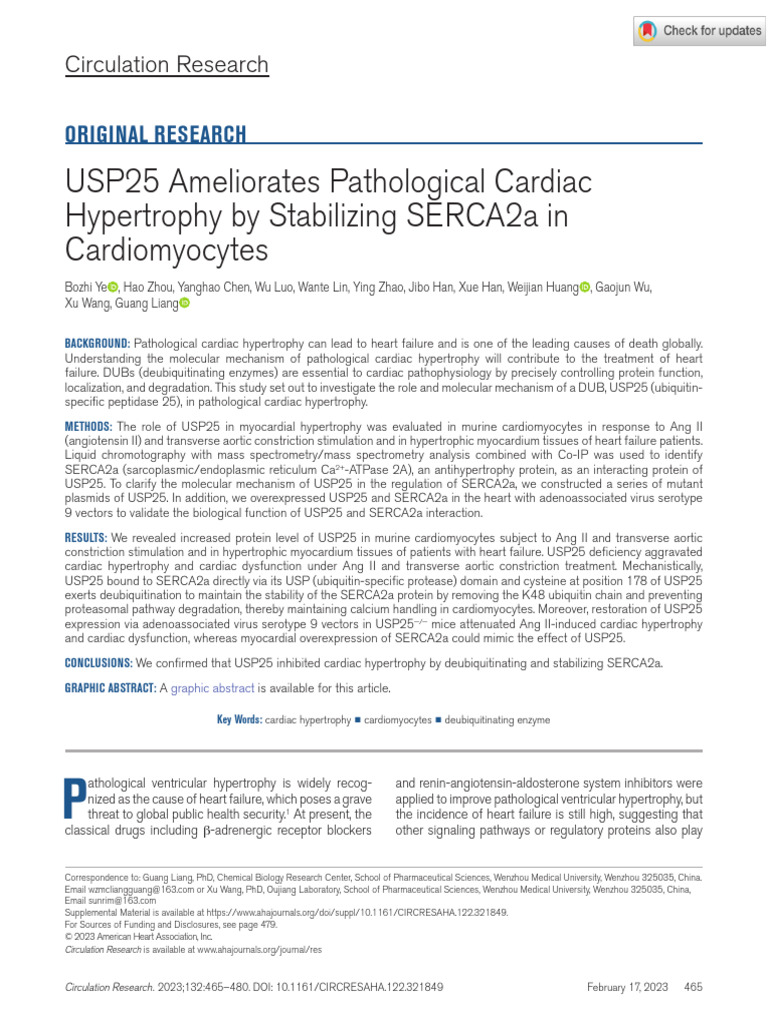 2023 - Circ Res - USP25 Ameliorates Pathological Cardiac Hypertrophy ...