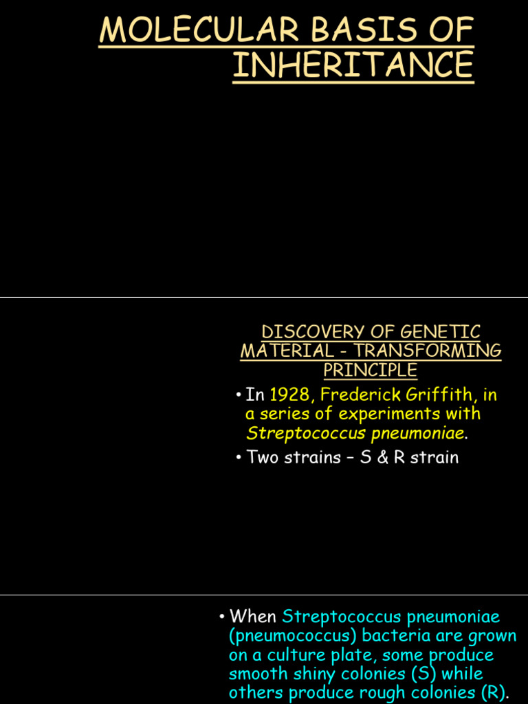 Molecular Basis of Inheritance - 105145 | PDF | Dna | Base Pair
