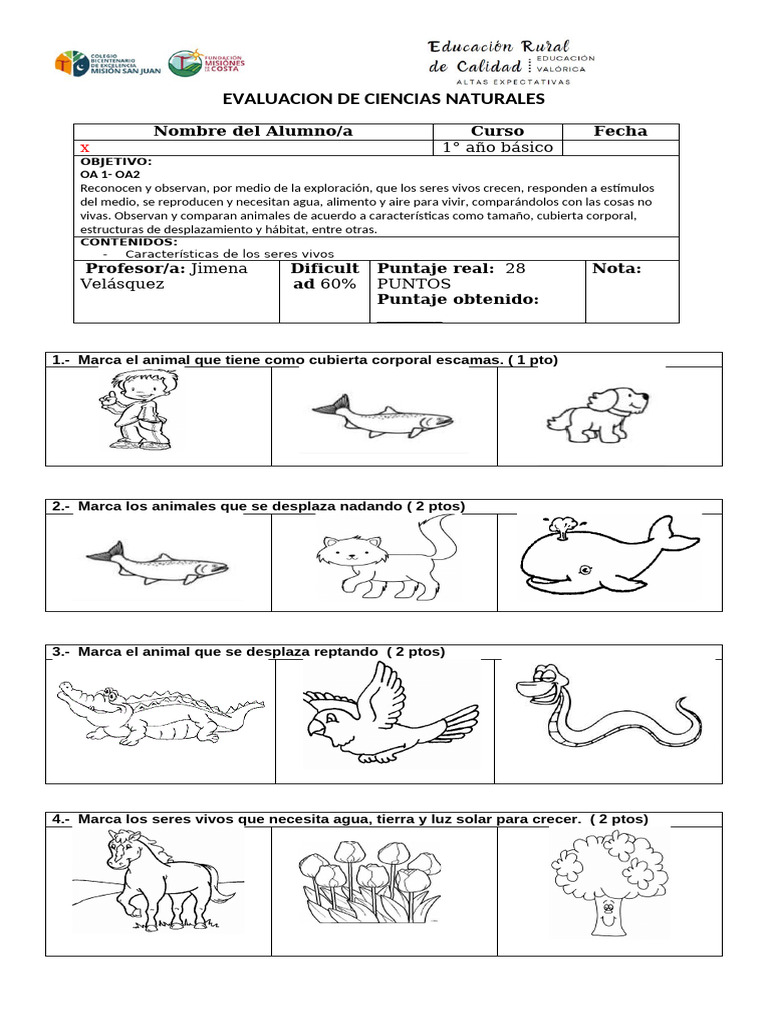 Evaluación Caracteristicas de Los Seres Vivos | PDF | Hogar, jardinería ...
