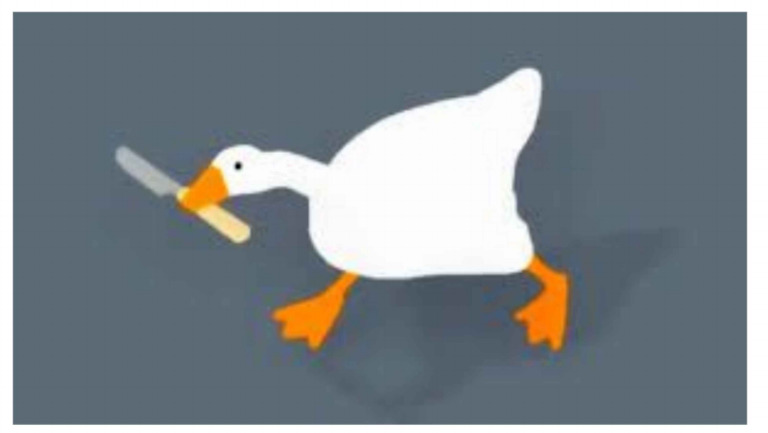 Duck | PDF