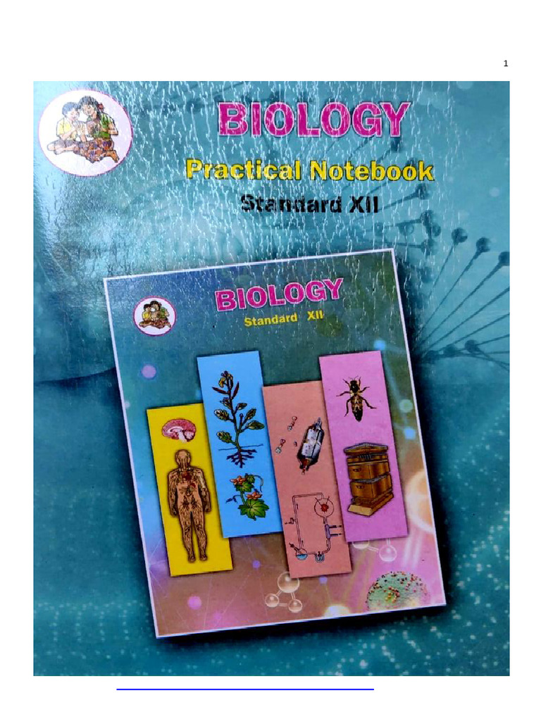 Xii Biology Practical 22 23 | PDF | Fertilisation | Stoma