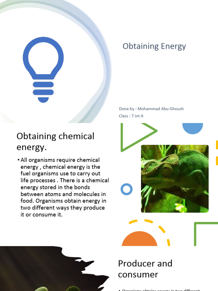 Science Project | PDF | Organisms | Systems Ecology