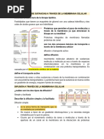 Qué Es Una Difusión Simple | PDF | Membrana celular | Canal de iones