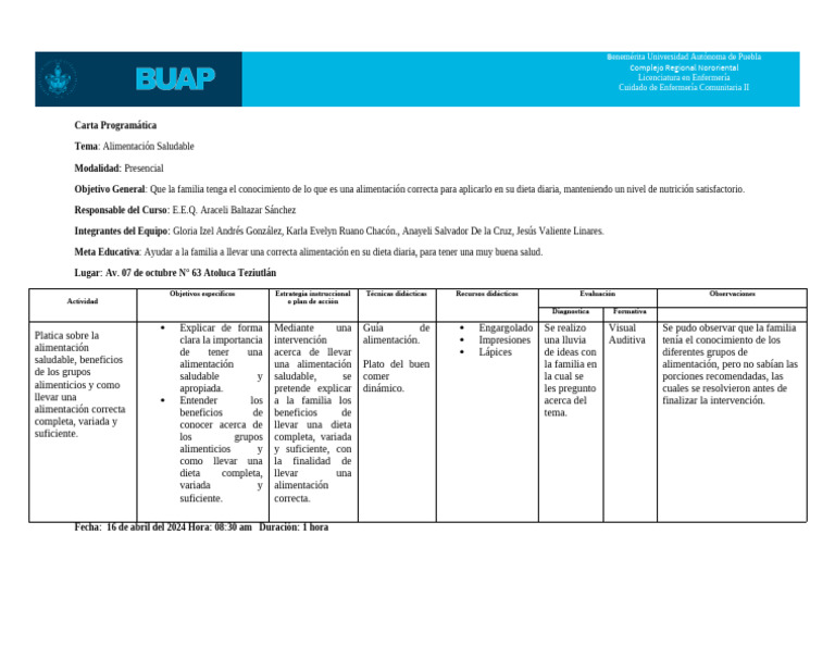 Carta Programática-Formato | PDF | Salud y bienestar