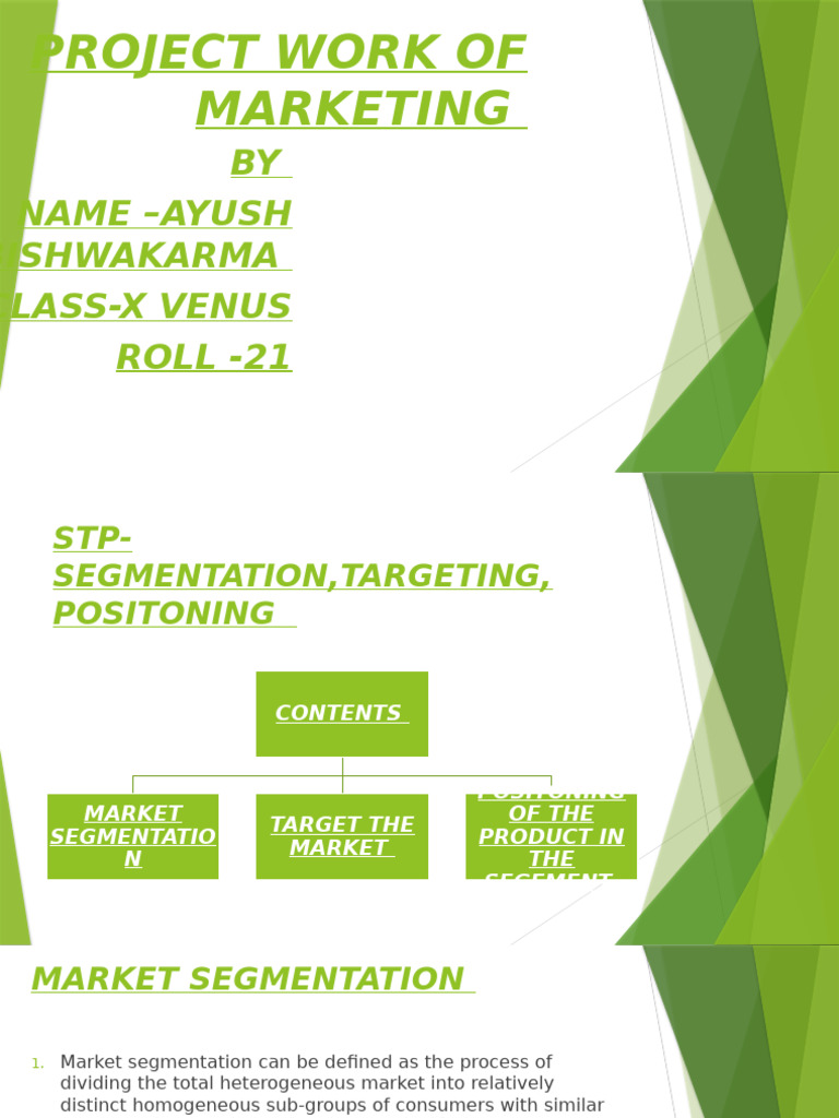 Project Work of Marketing | PDF | Marketing | Market Segmentation