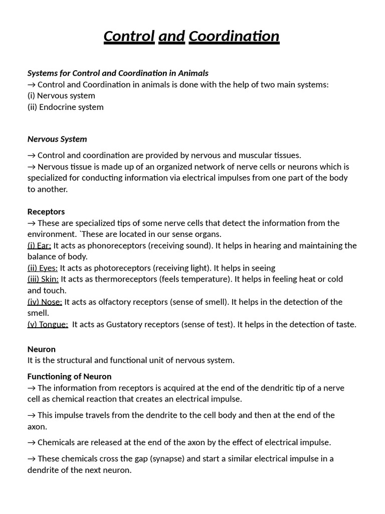 Control and Coordination Notes | PDF | Nervous System | Hormone