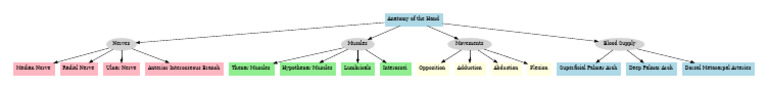 Hand Anatomy Mind Map | PDF