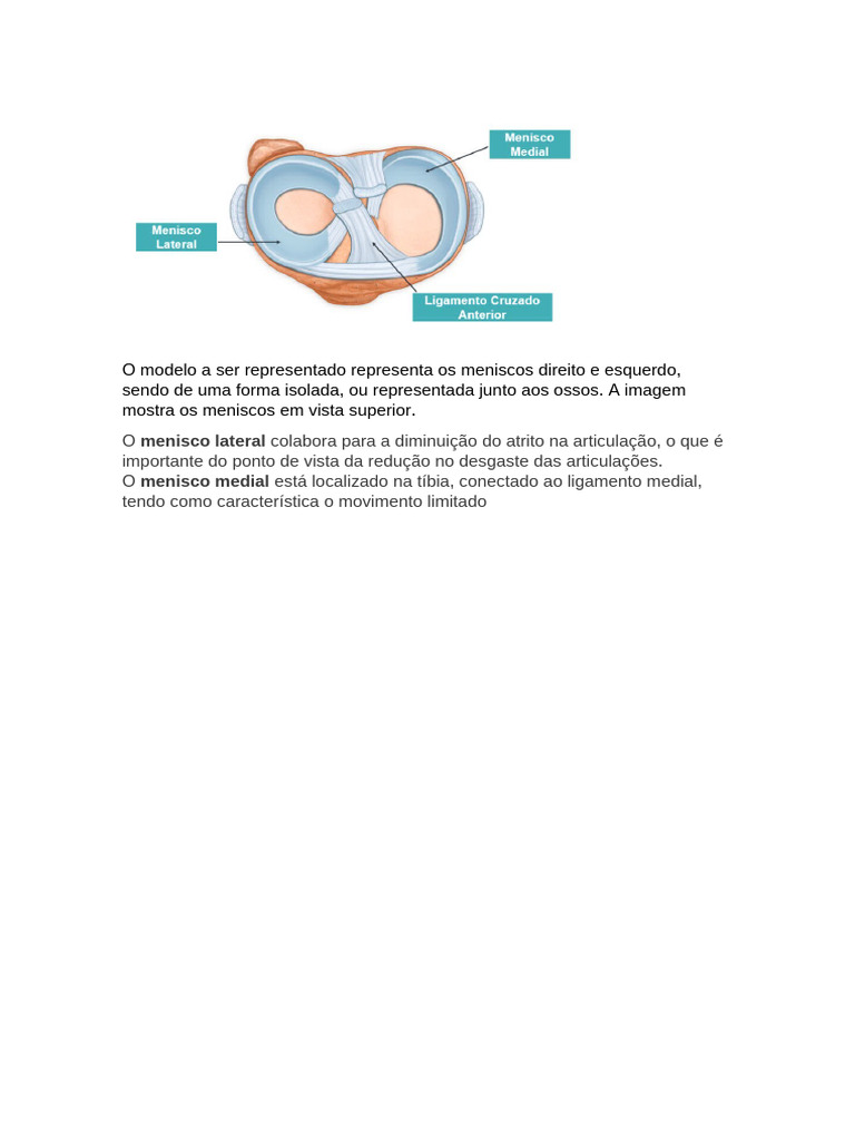 Meniscos Anatomia e Funções | PDF