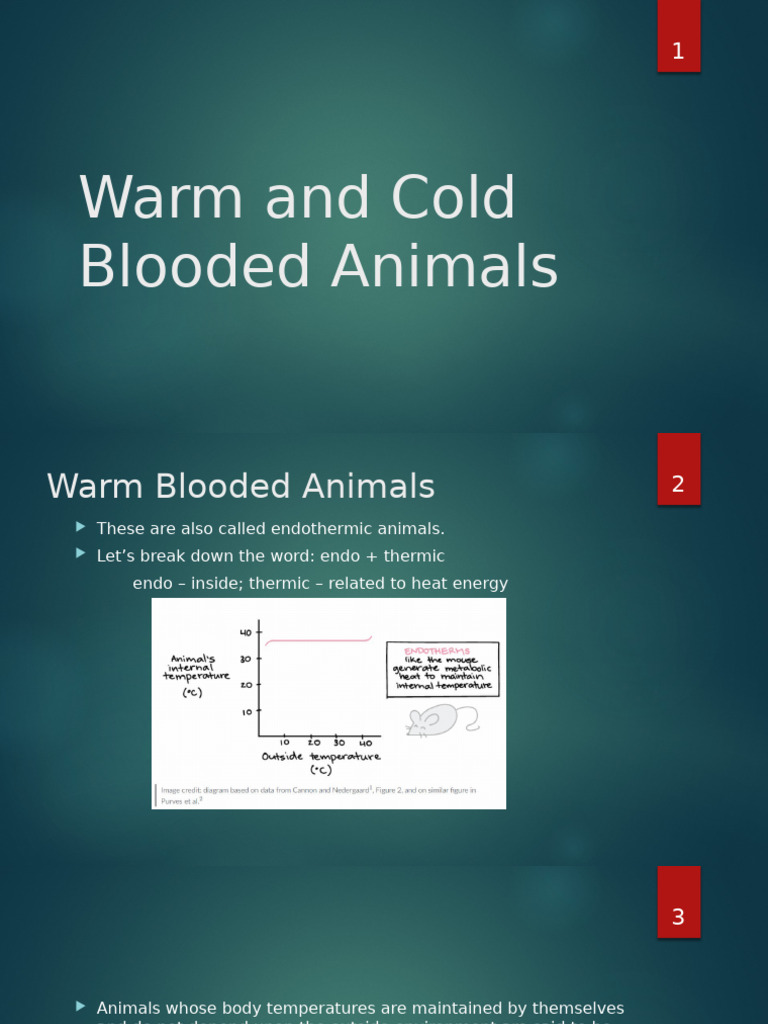 Warm and Cold Blooded Animals | PDF