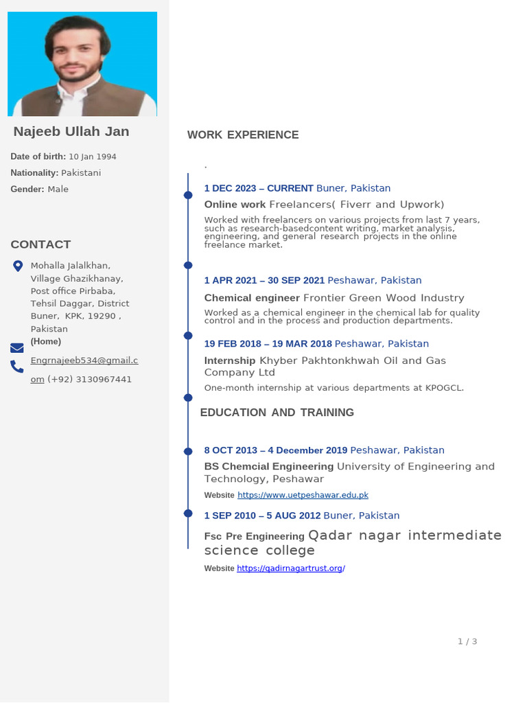 Najeeb Cv | PDF | Pakistan