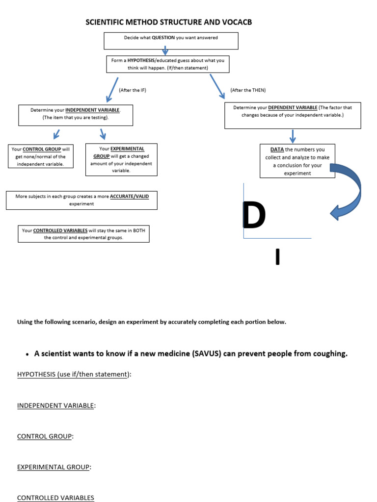 Scientific Method Structure and Vocab | PDF