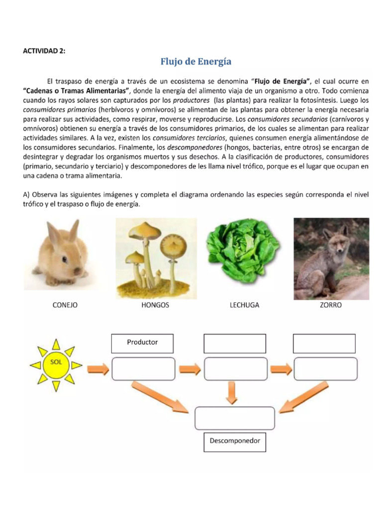 Interacciones Biológicas | PDF