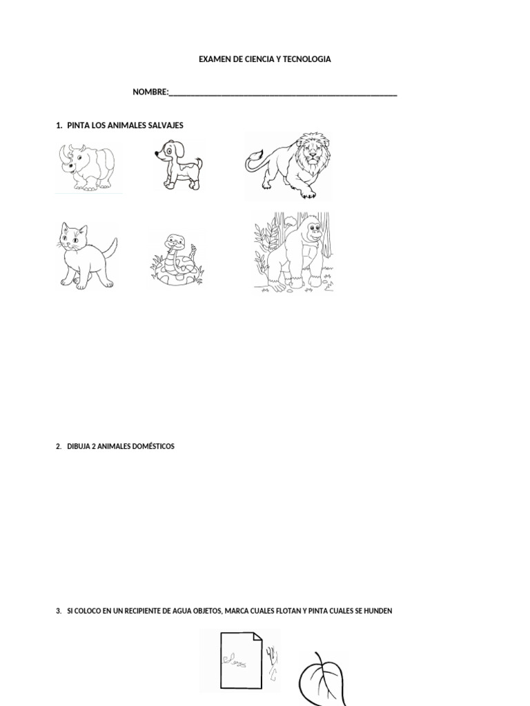 Examen de Ciencia y Tecnologia | PDF