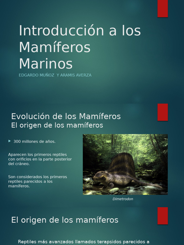 Evolución de los Mamíferos Marinos | PDF | Ciencias sociales