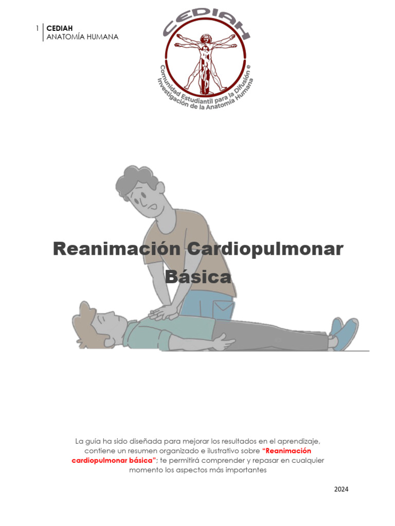 Guia RCP Basico | PDF | Reanimación cardiopulmonar | Sistema cardiovascular