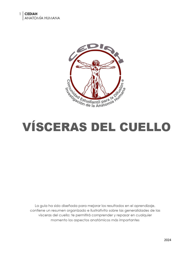 Guía de Vísceras del Cuello | PDF | Laringe | Tiroides