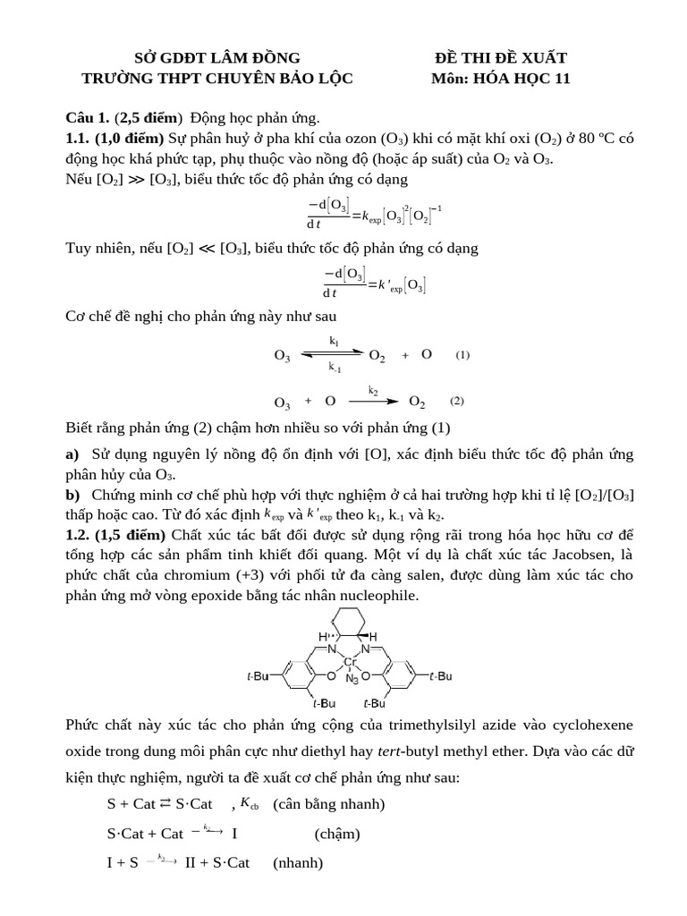 De DBBB 2024 K11 - HDC | PDF