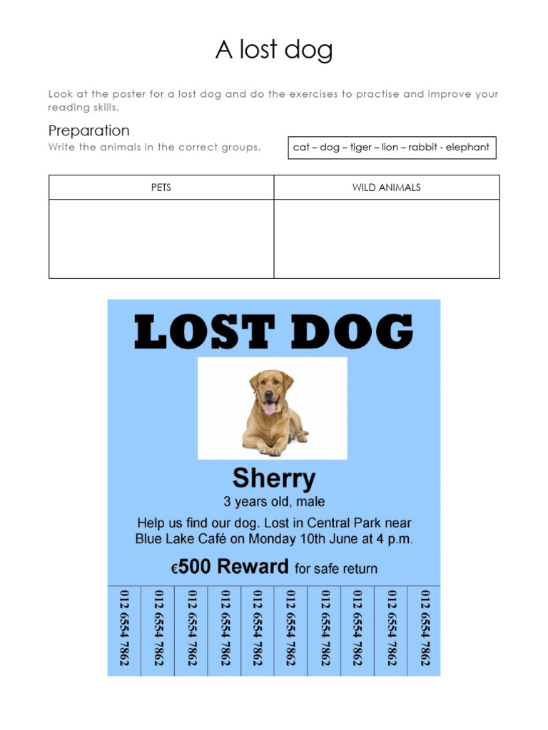 A Lost Dog | PDF