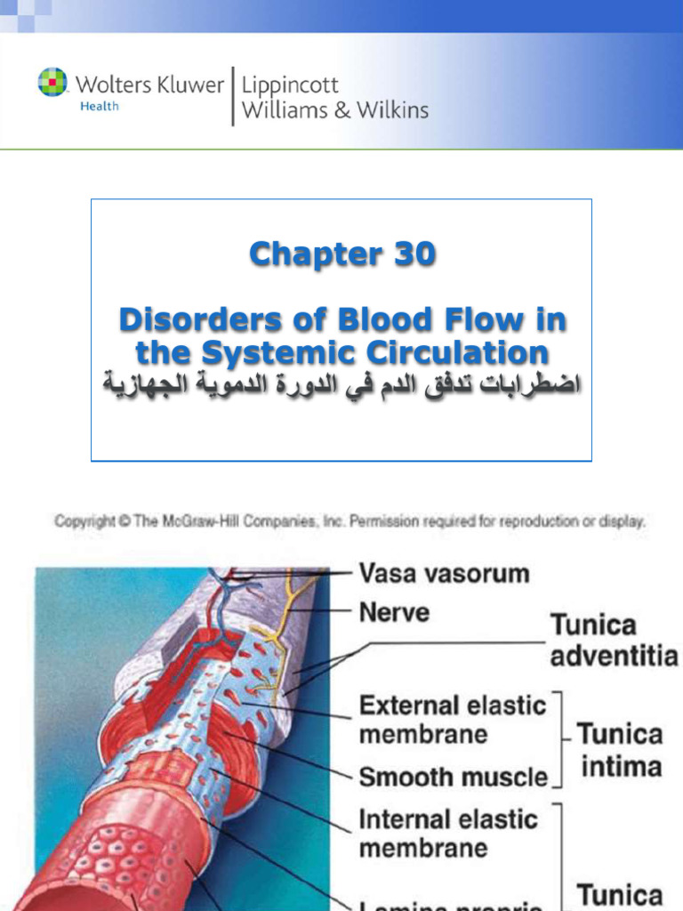Disorders of Blood Flow in The Systemic Circulation مترجم | PDF
