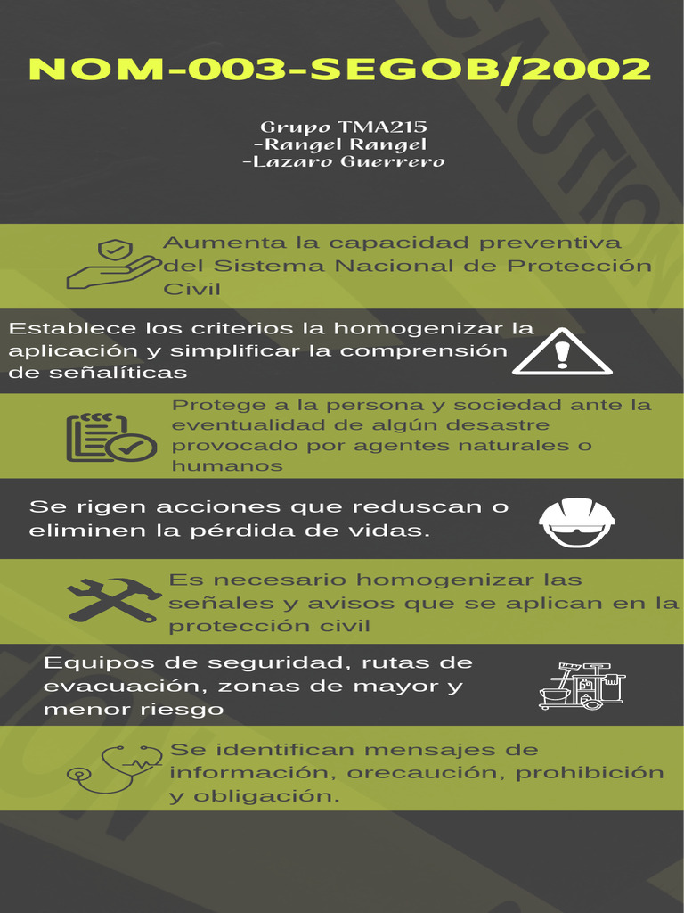 Nom 251 Ssa1 2009 | PDF