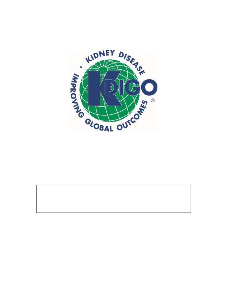 KDIGO 2024 IgAN and IgAV Guidelines Draft | PDF | Chronic Kidney ...