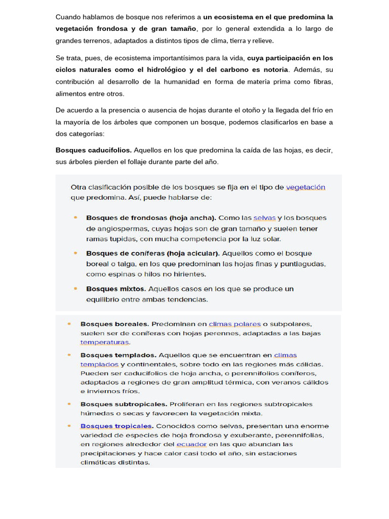 Tipos de Bosque | PDF