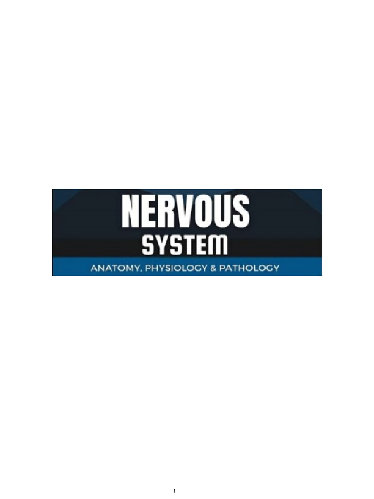 Nervous System | PDF | Business | Technology & Engineering