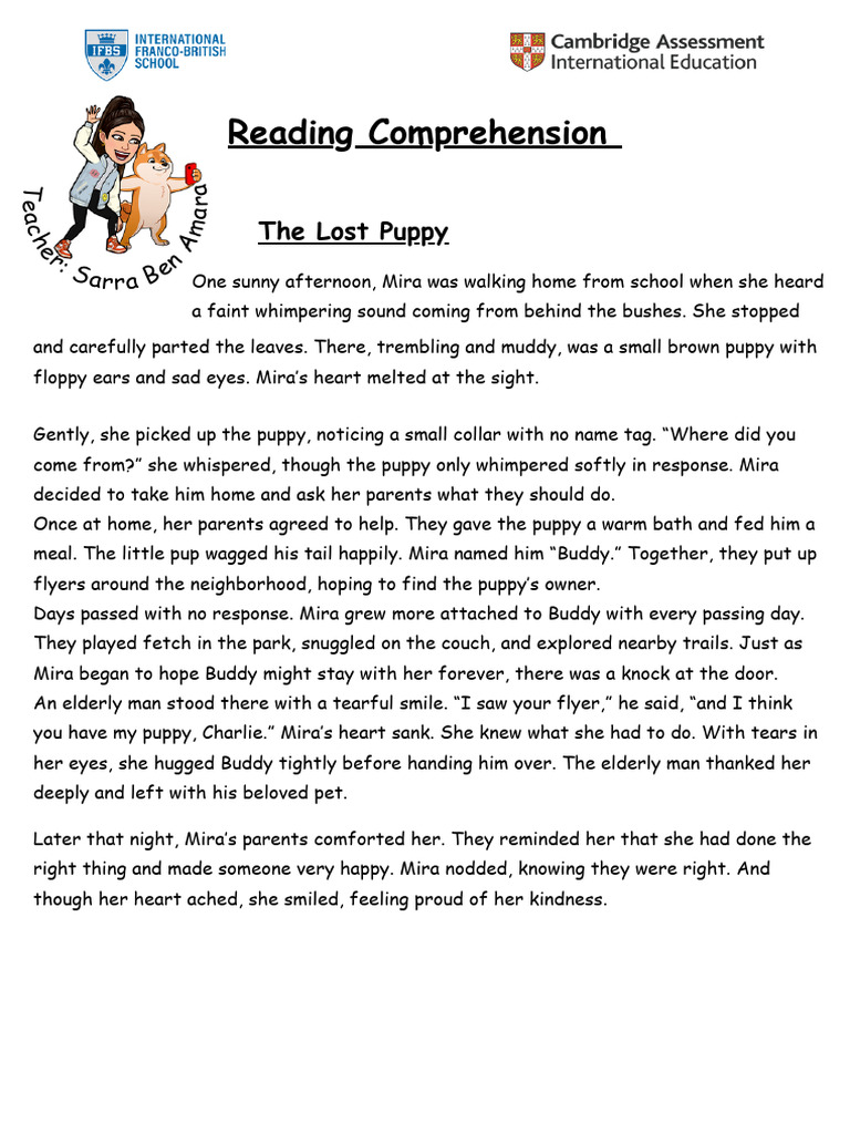 Reading Comprehension Y6 | PDF