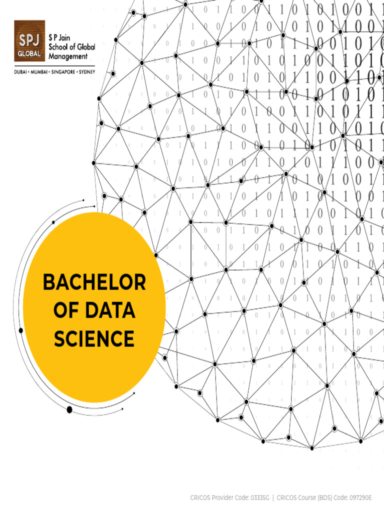 SP Jain Bachelor of Data Science Brochure | PDF | Data Science ...