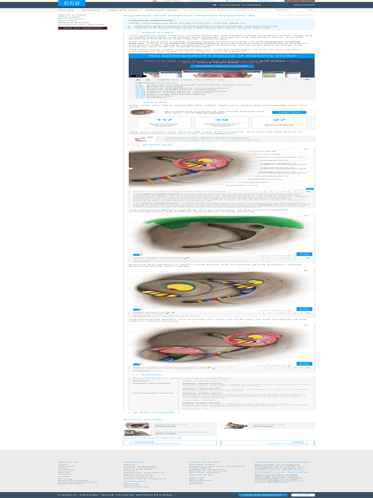 Anatomy of Orbital Fissures Explained | PDF | Human Anatomy | Skeletal ...