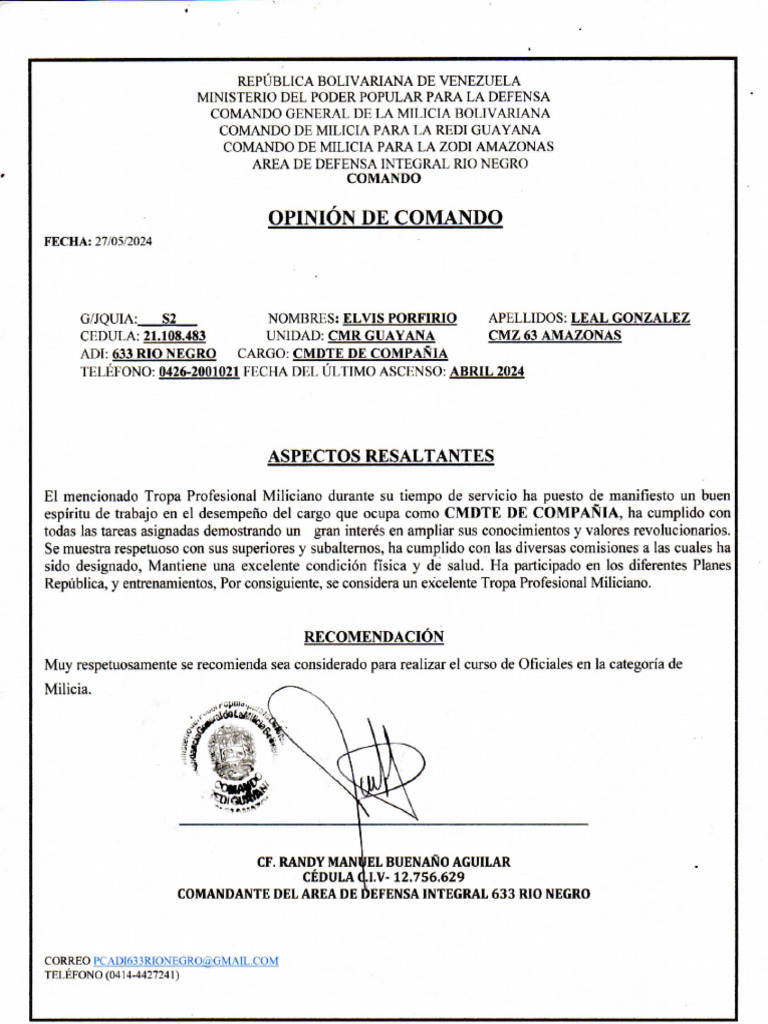 Opinion de Comando S2 Leal | PDF