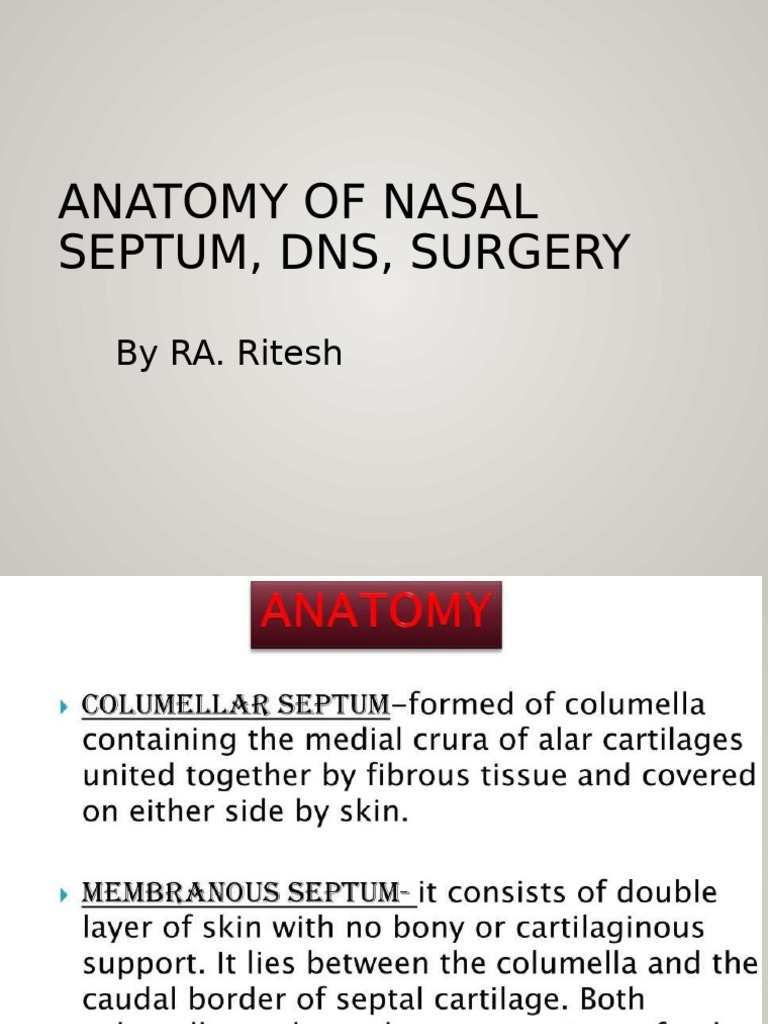 Nasal Septum Anatomy, DNS, Surgery by RA Ritesh | PDF | Human Nose ...
