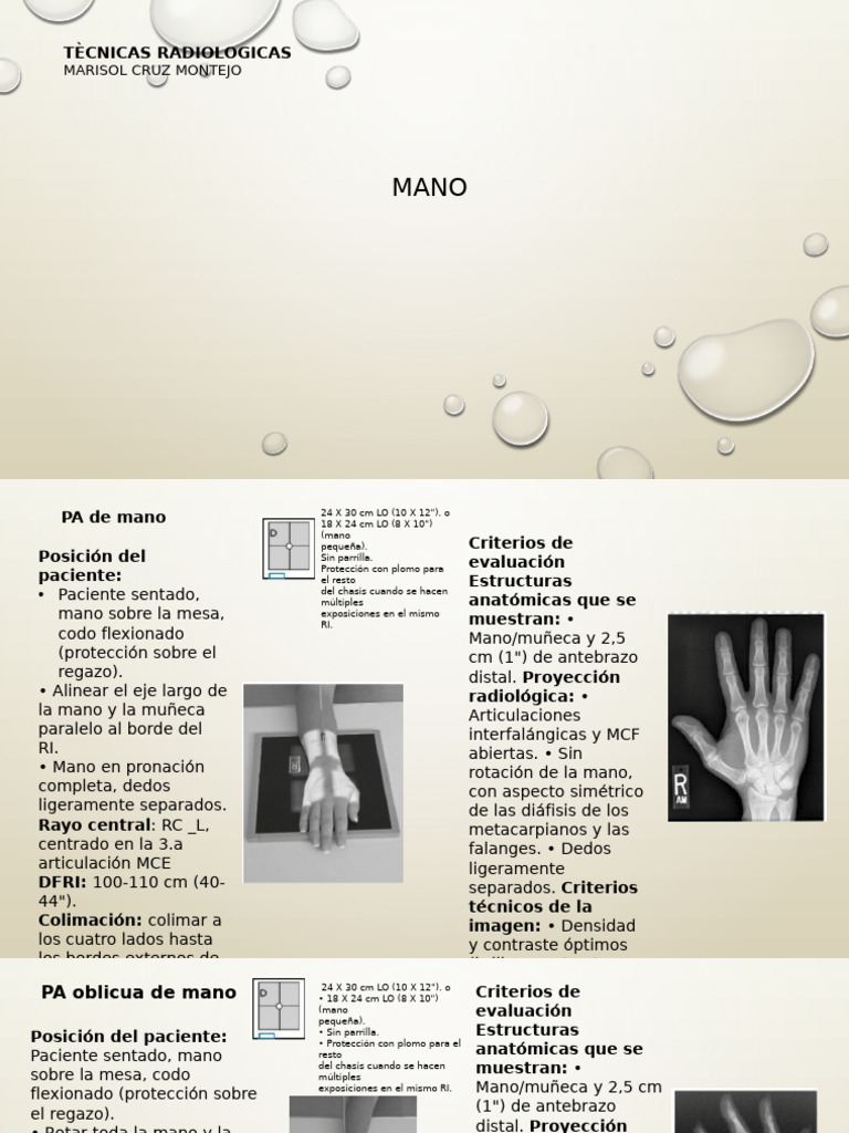 MANO | PDF | Mano | Anatomía humana